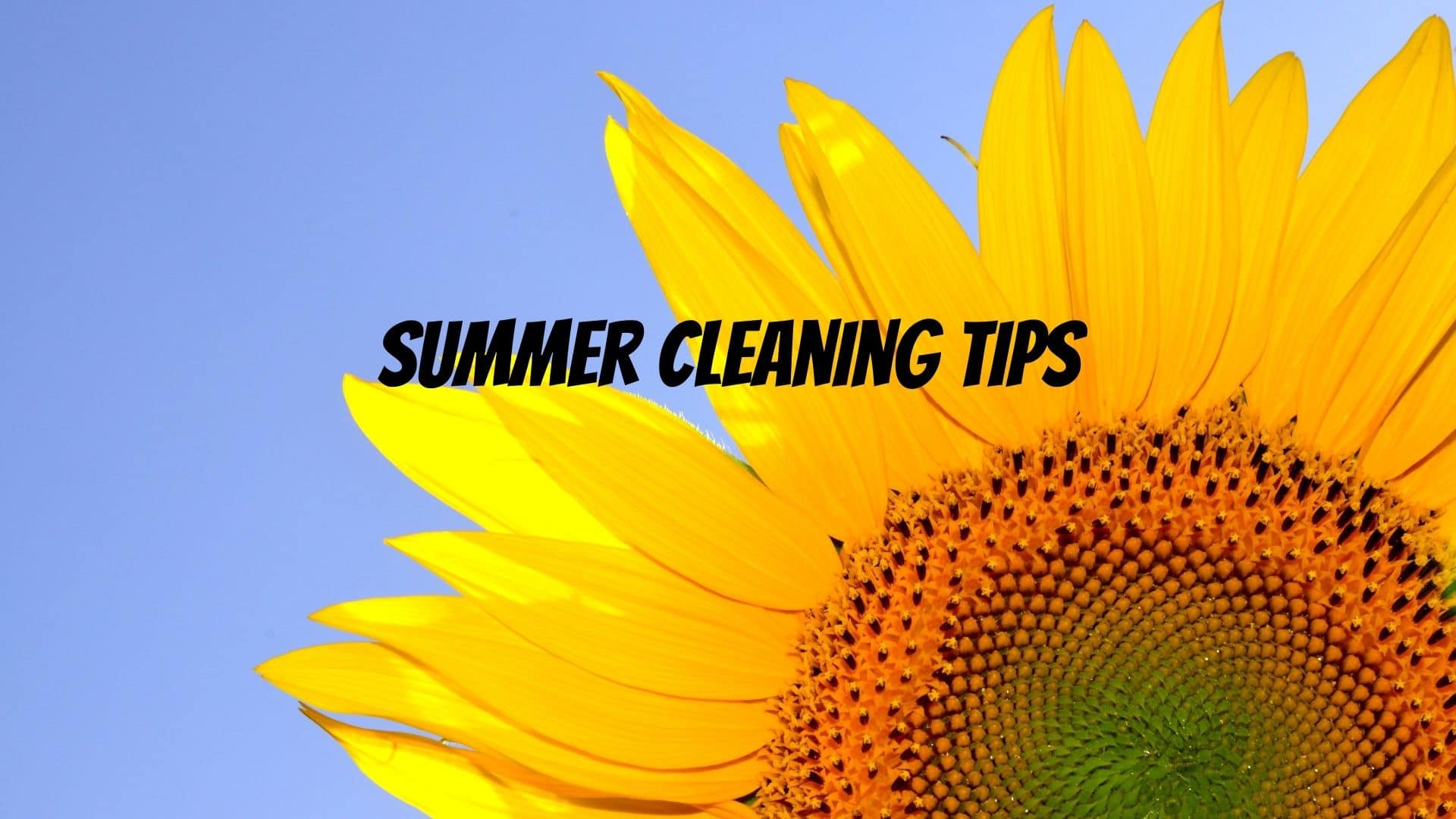 Summer Cleaning Tips - Window Cleaning Services